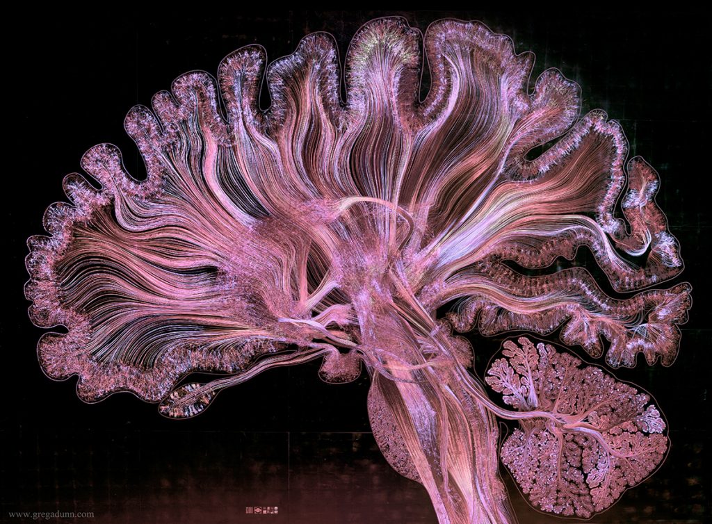 The art and science of your beautiful brain. - Dr Sarah McKay