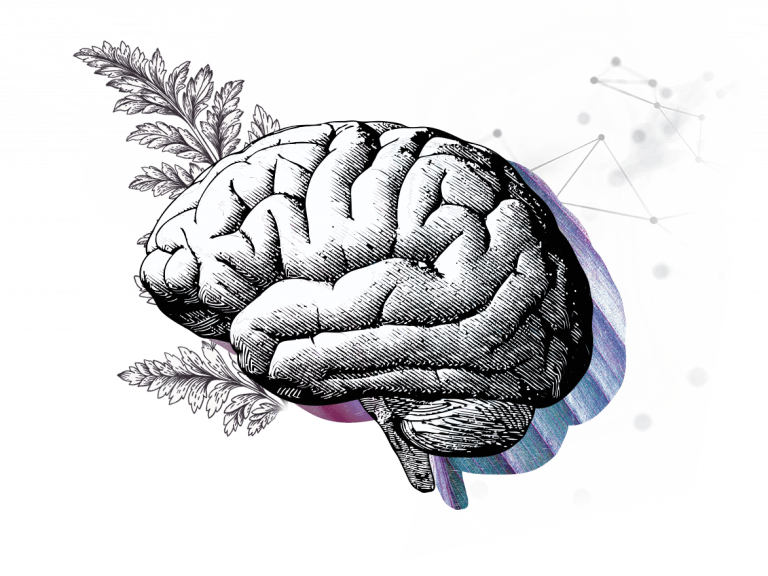 Neuroscience Coaching Network - Dr Sarah McKay